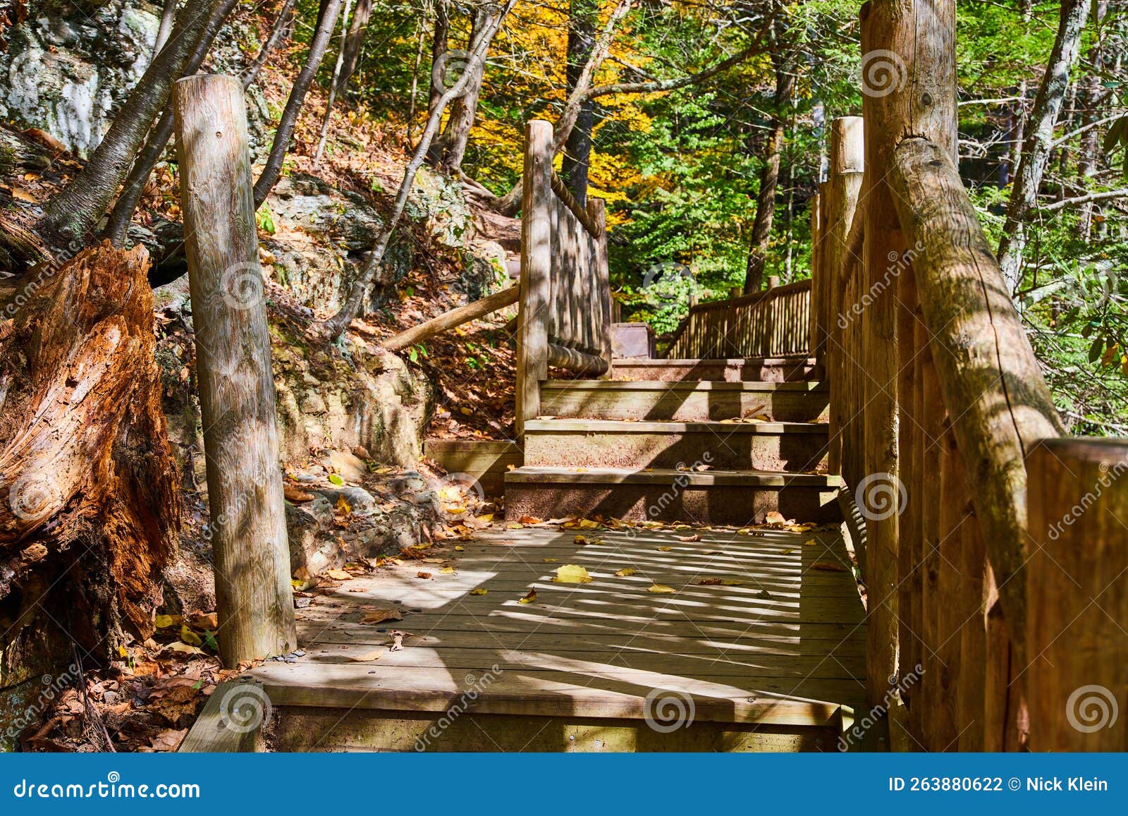 Wood Boardwalk and Railing Steps Leading Up and into the Woods Along ...