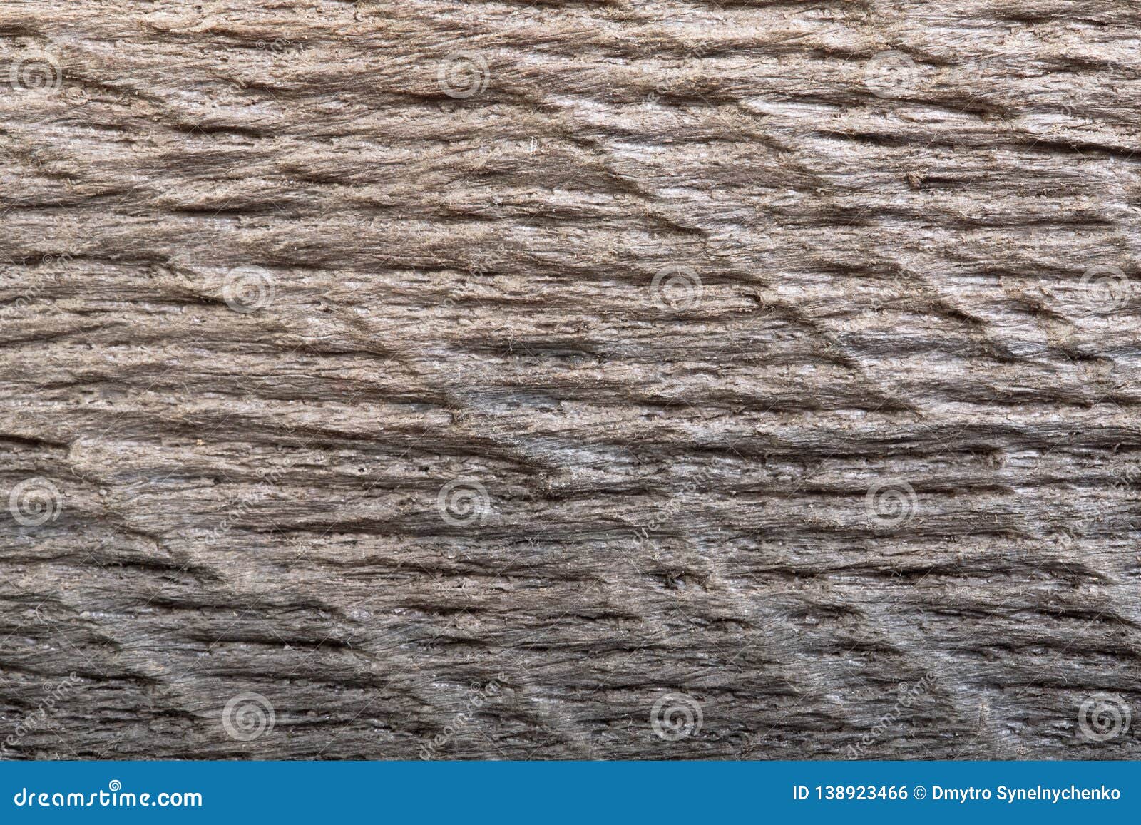 Wood Bog Oak Texture Background for Your Unique Project. Stock Photo ...