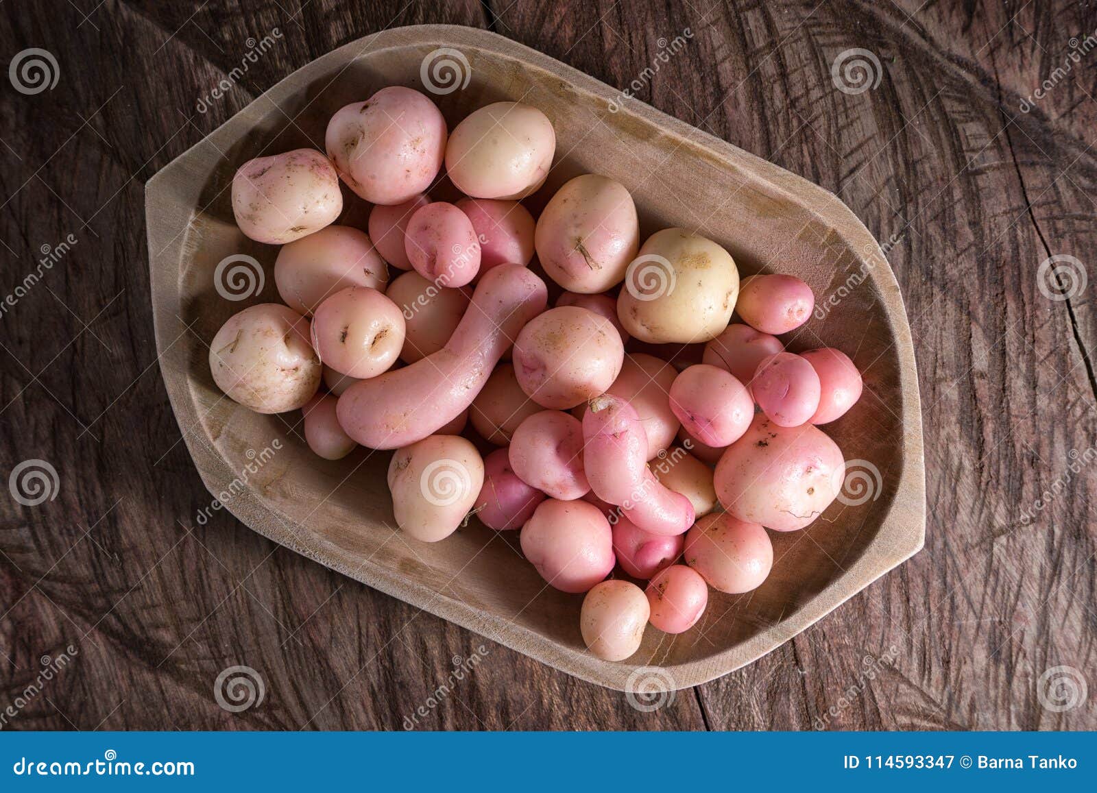 Wood Bowl Closeup with Melloco Tuber Stock Image - Image of south ...
