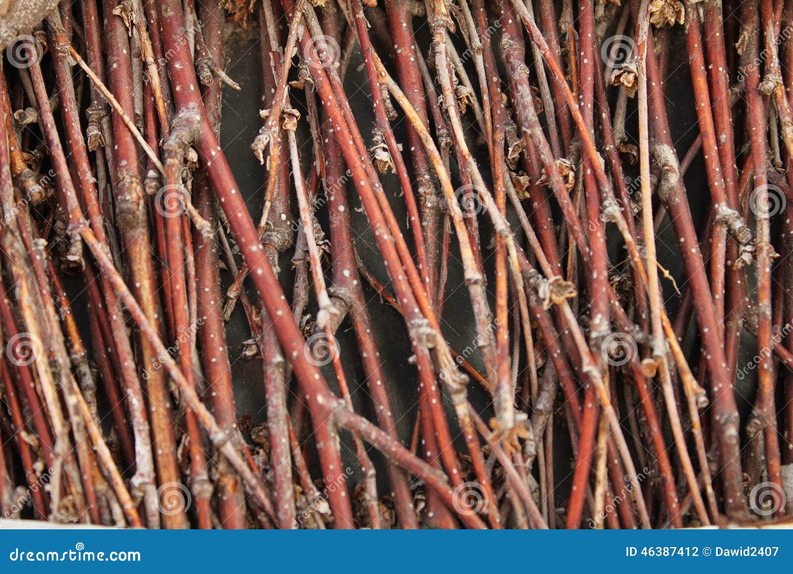 Wood Branch Background Texture Stock Photo - Image of texture, building ...