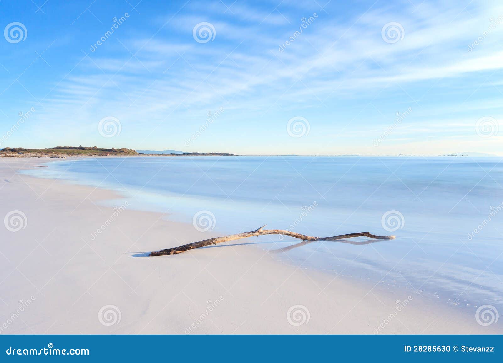 Wood Branch on a White Beach on Sunset Time Stock Photo - Image of ...