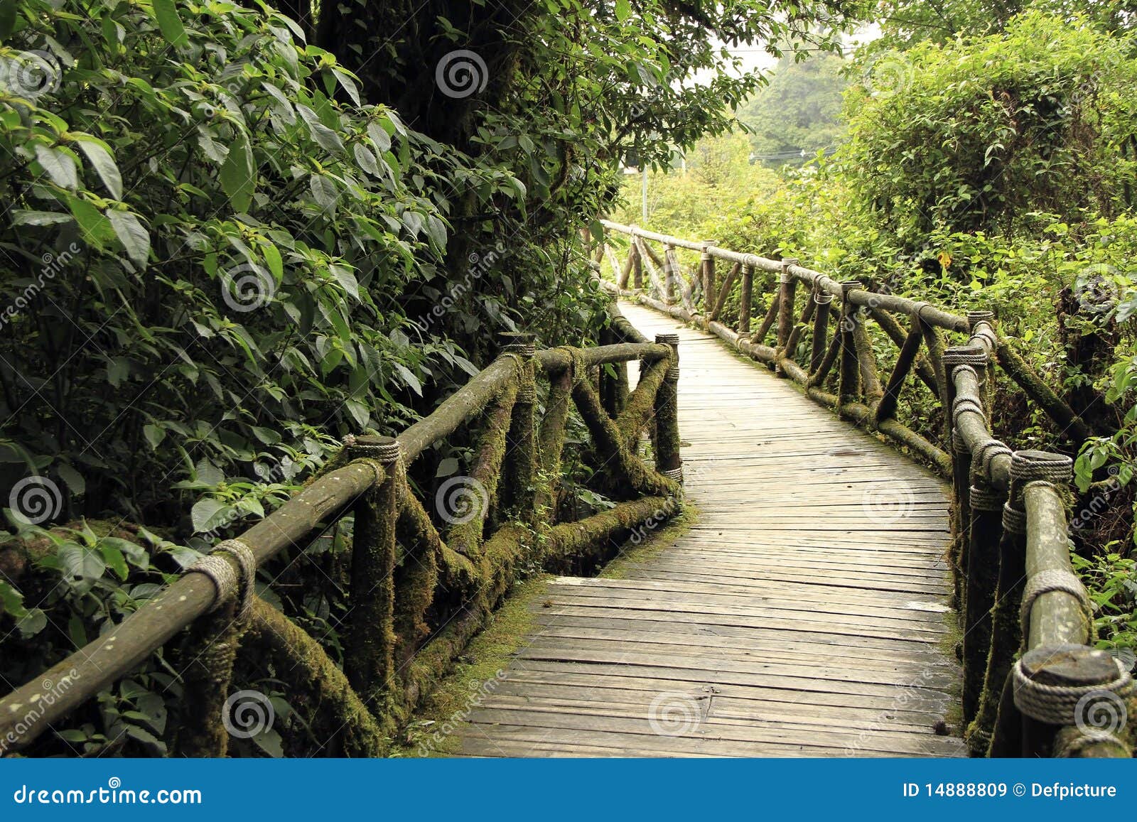 Wood bridge stock image. Image of outdoor, country, color - 14888809
