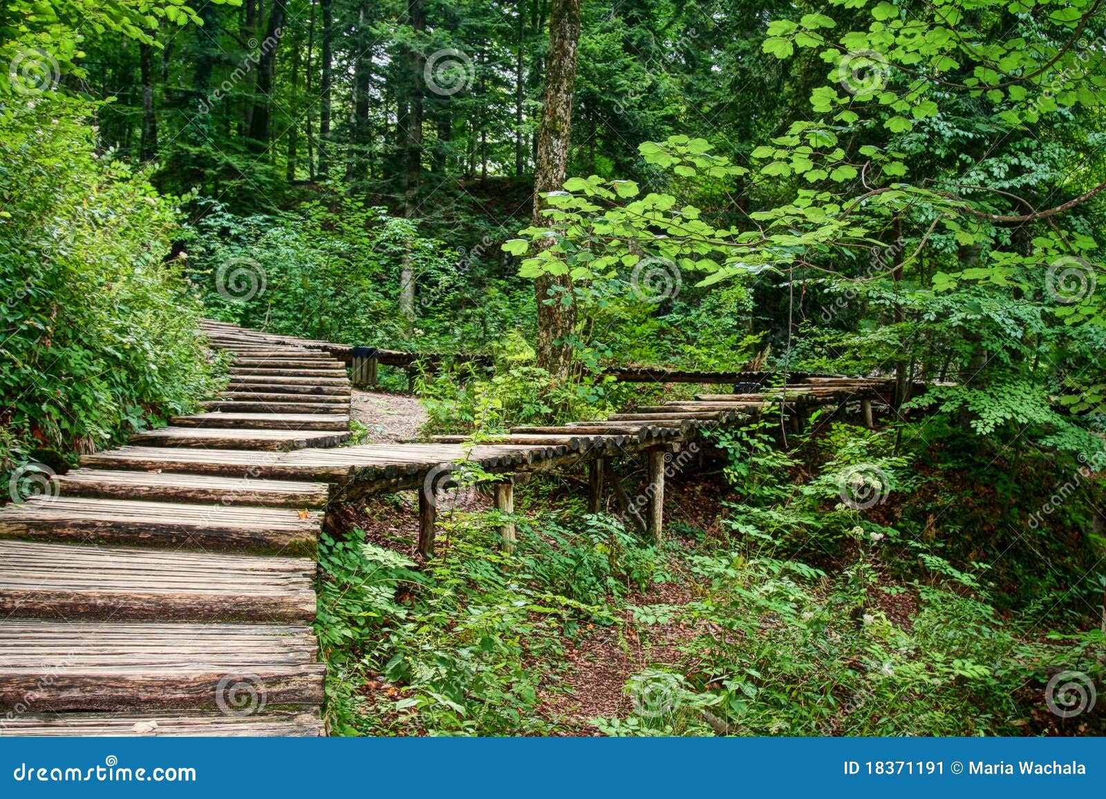 Wood Bridge stock image. Image of foliage, explore, park - 18371191
