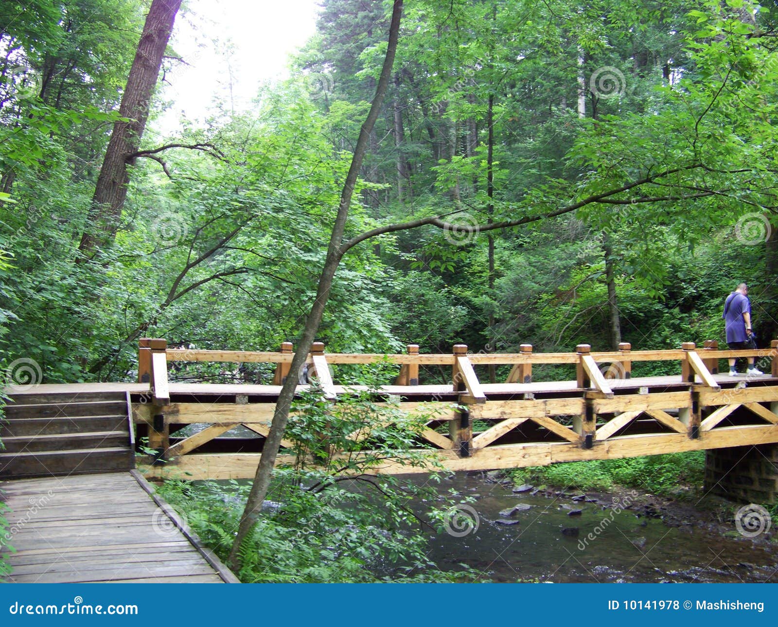 Wood Bridge Clear Creek Forest Stock Photo - Image of forest, jilin ...