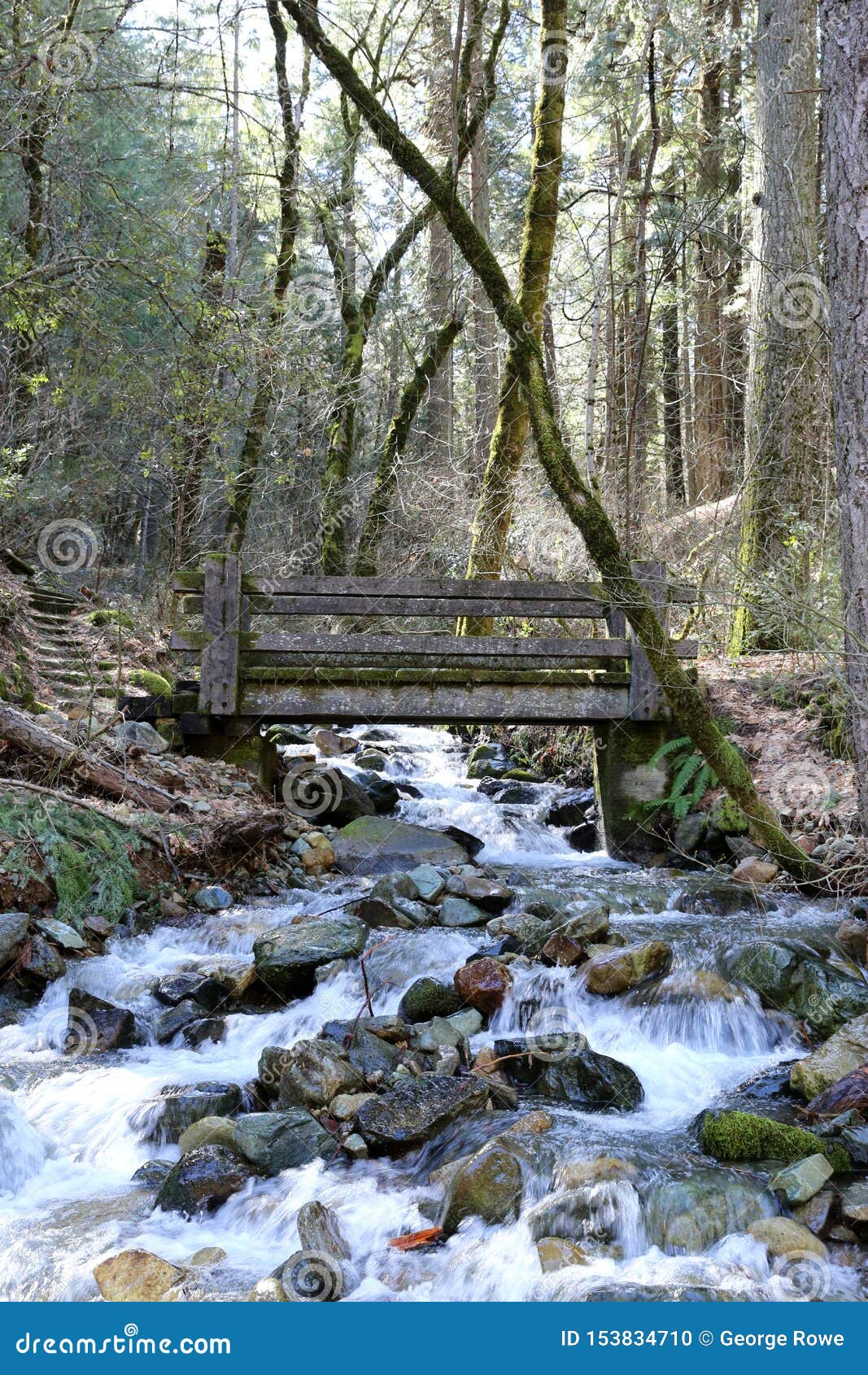 Wood Bridge Crossing a Mountain Stream Stock Photo - Image of bridge ...