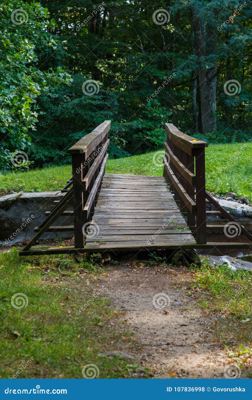 Wood bridge on the forest stock photo. Image of journey - 107836998