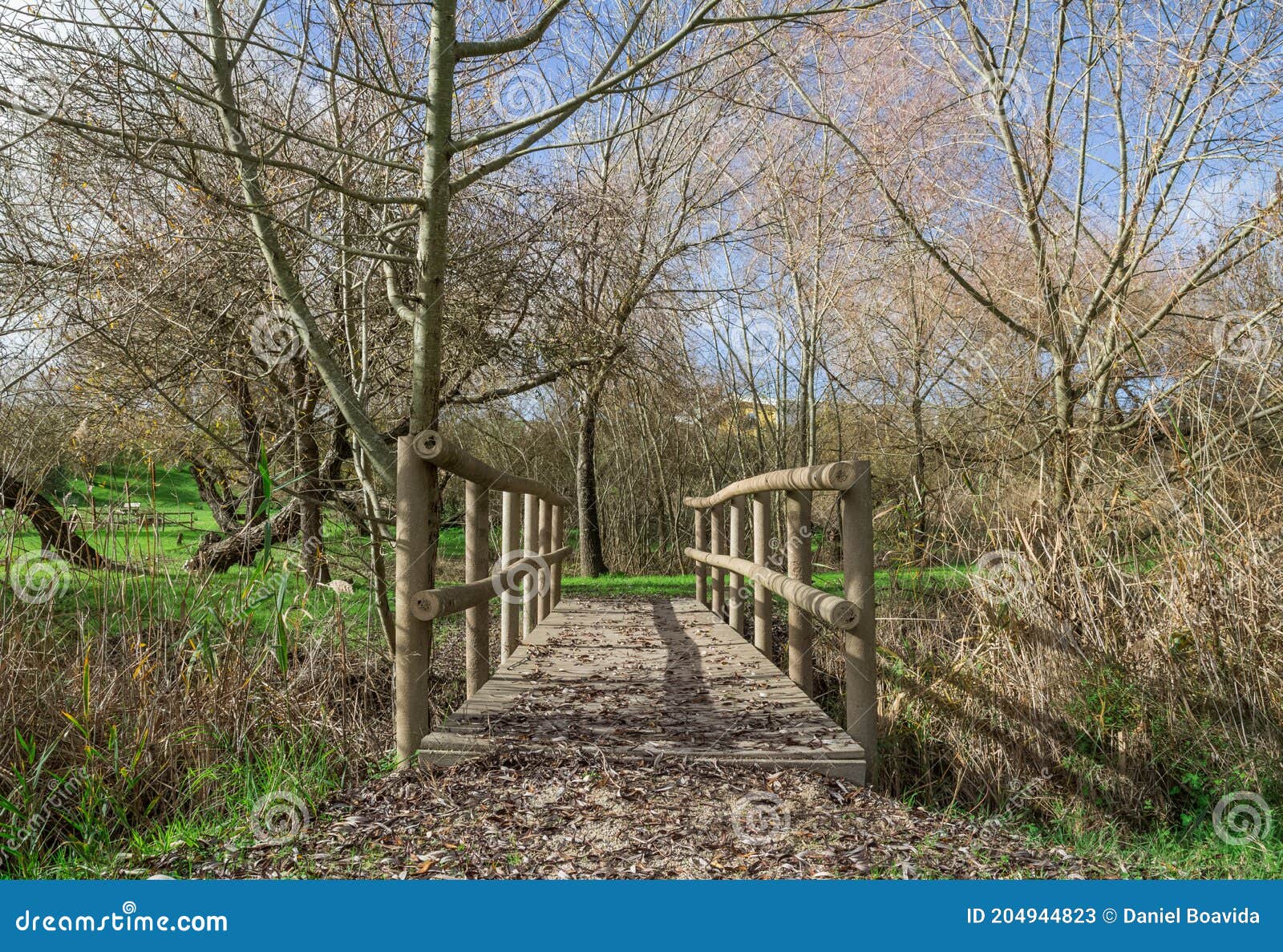 Wood Bridge in the Forest stock image. Image of grass - 204944823