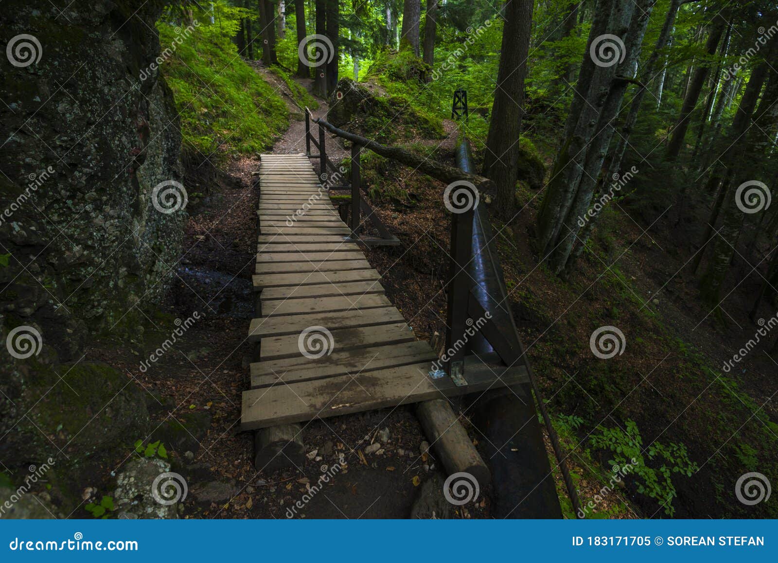 Wood Bridge in the Forest in Bucegi Mountains Stock Image - Image of ...