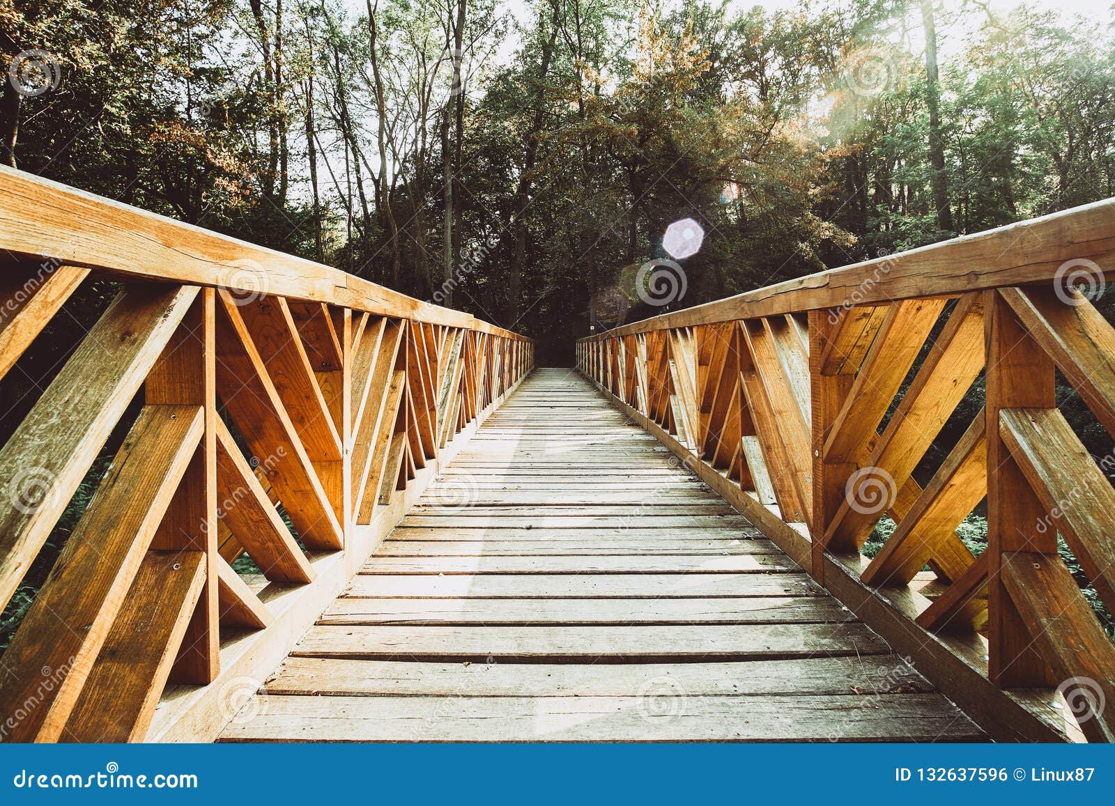 Wood bridge on the forest stock photo. Image of tourism - 132637596