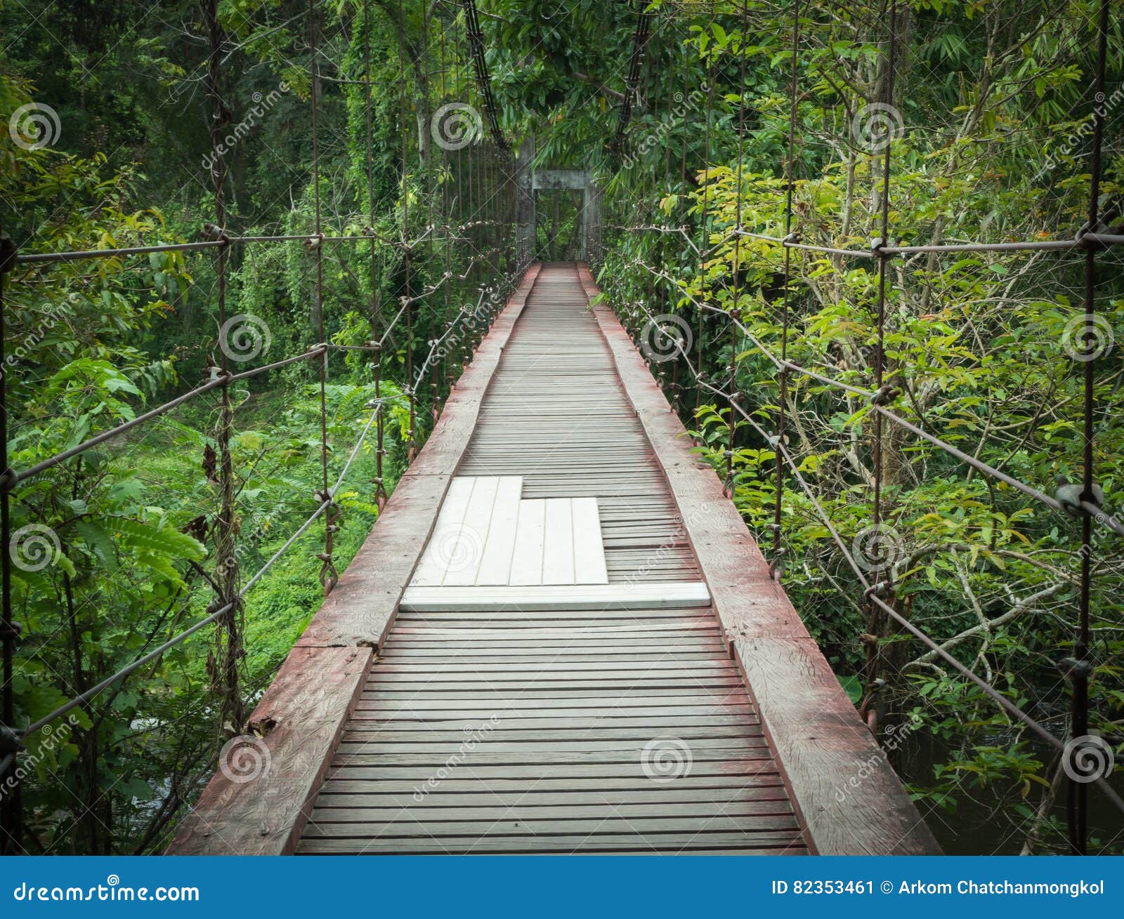 Wood Bridge Gateway in Forest Stock Image - Image of park, beautiful ...