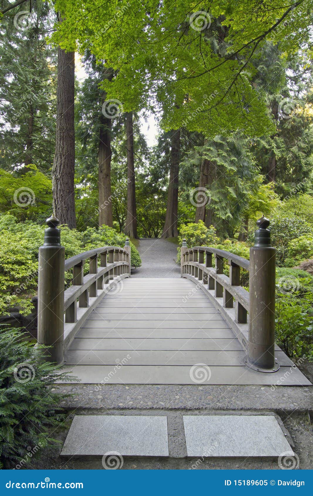 Wood Bridge at Japanese Garden Stock Image - Image of bridge, plants ...