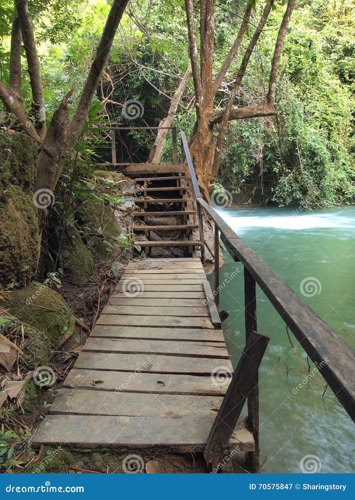 Wood bridge in the jungle stock image. Image of jungle - 70575847