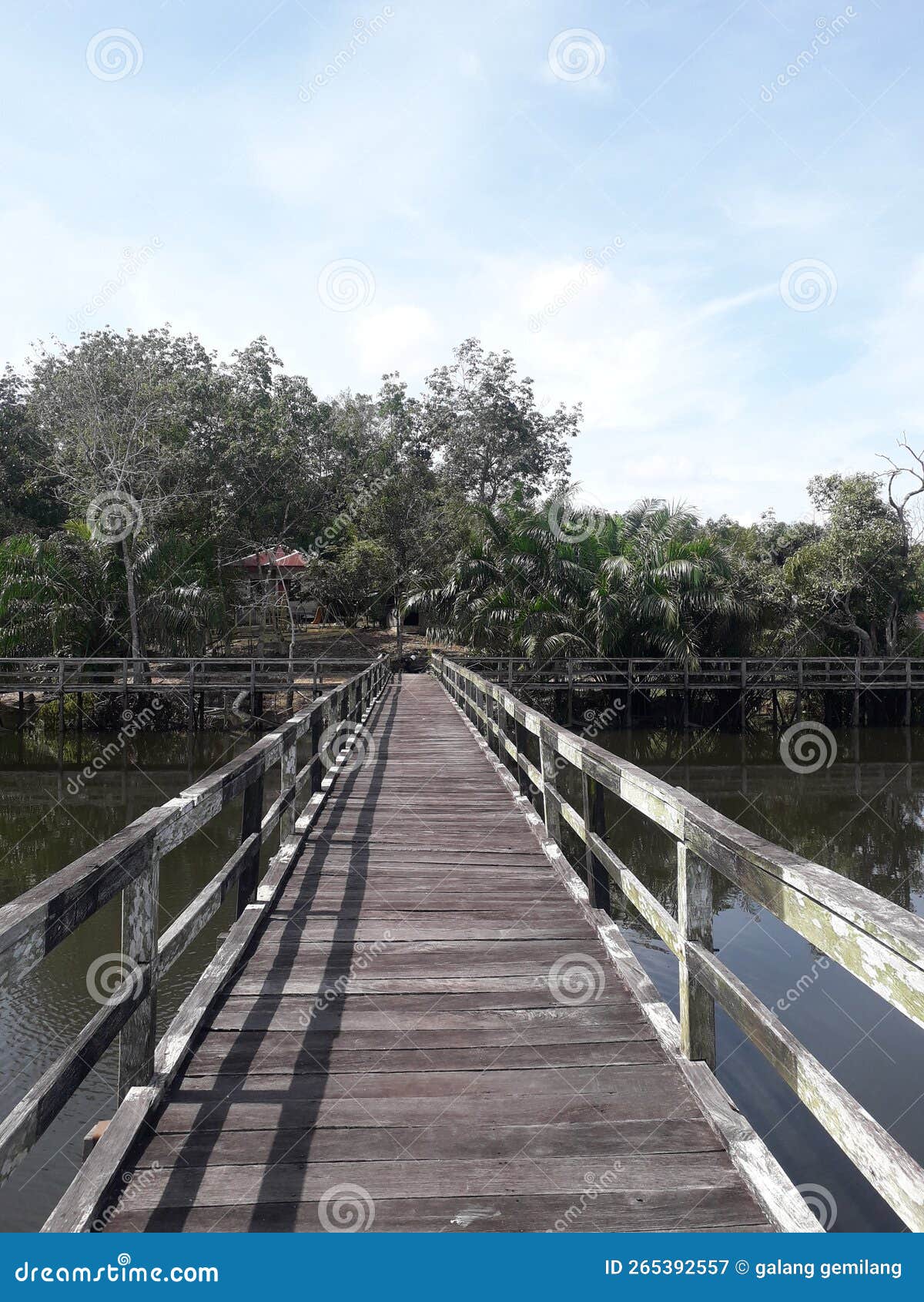 Wood Bridge on the Lake As Link between Mainland and View of Lake Stock ...