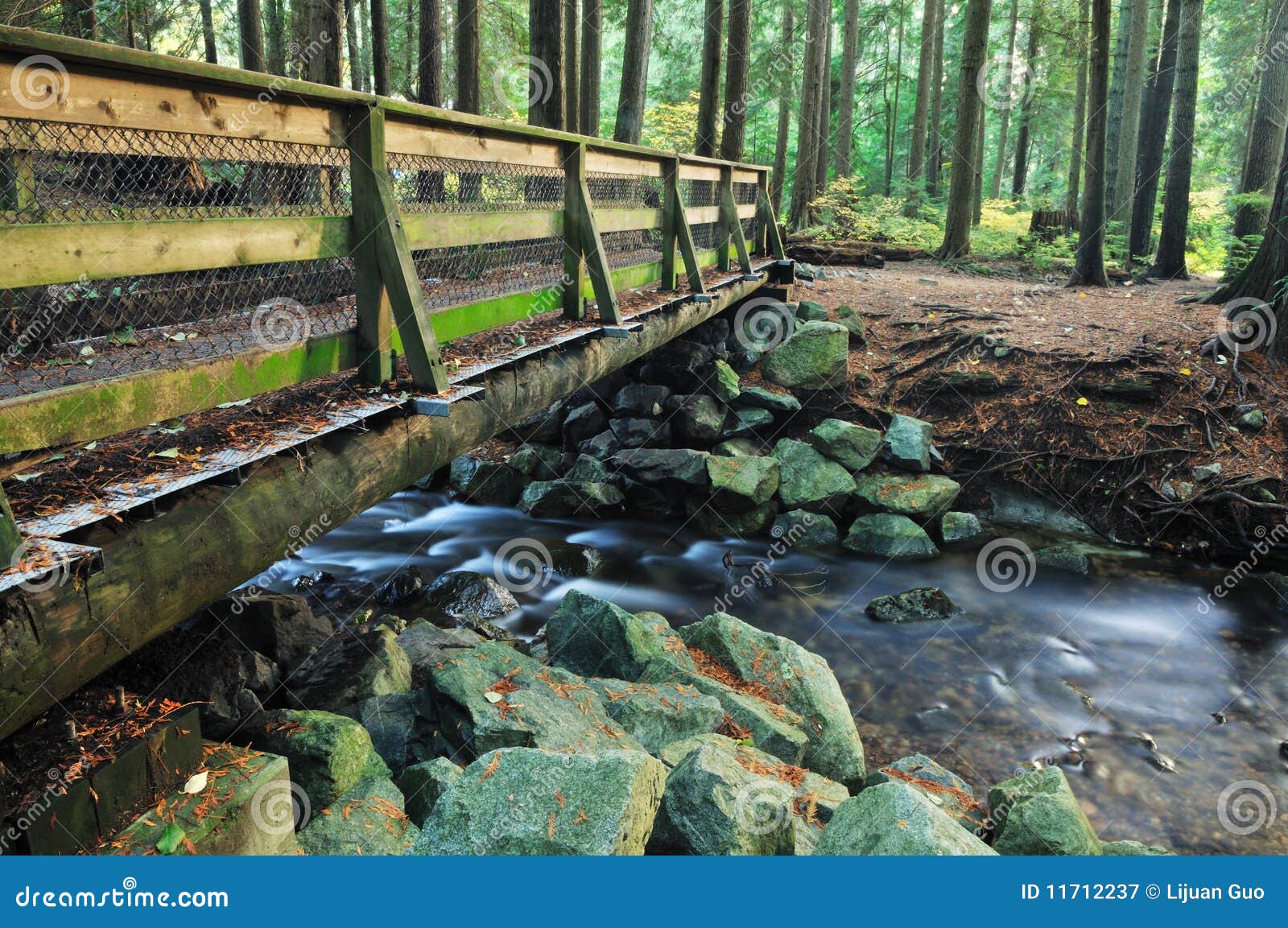 Wood Bridge in Lynn Valley Forest Stock Image - Image of river, water ...