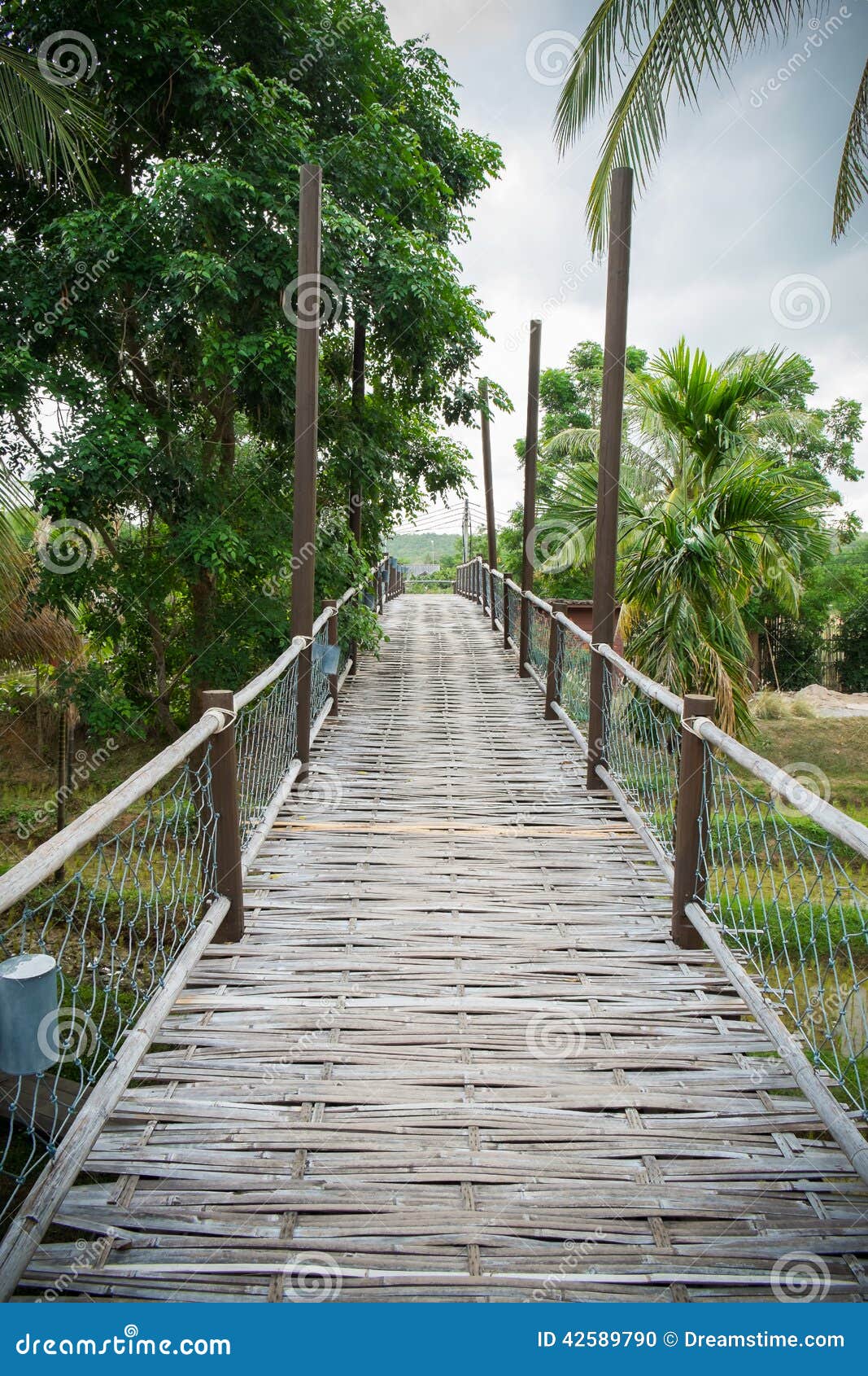 Wood bridge stock photo. Image of hanging, path, walk - 42589790