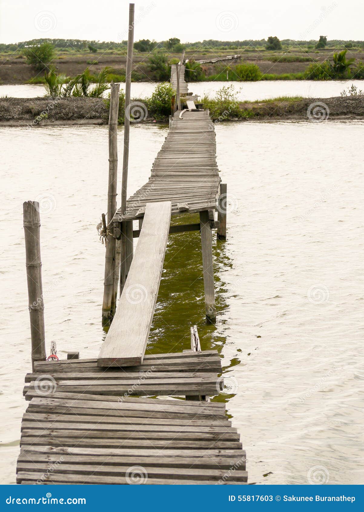 Wood bridge stock image. Image of bridge, nature, stream - 55817603