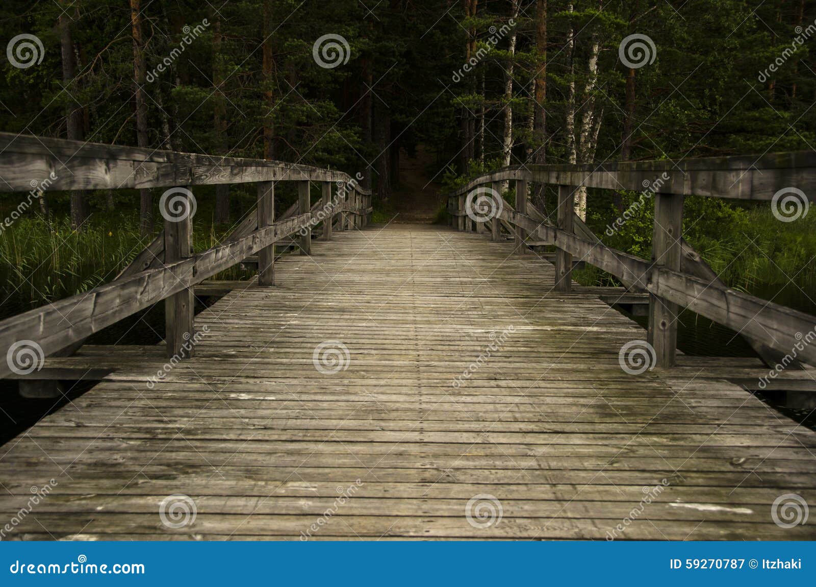 Wood Bridge in Nature Reservation Stock Image - Image of forrests ...