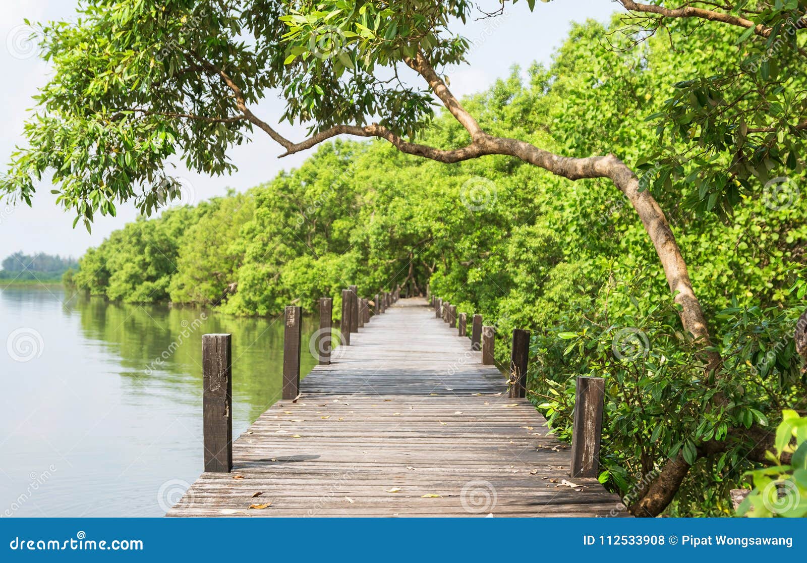 Wood Bridge for Nature Walk Stock Photo - Image of background ...