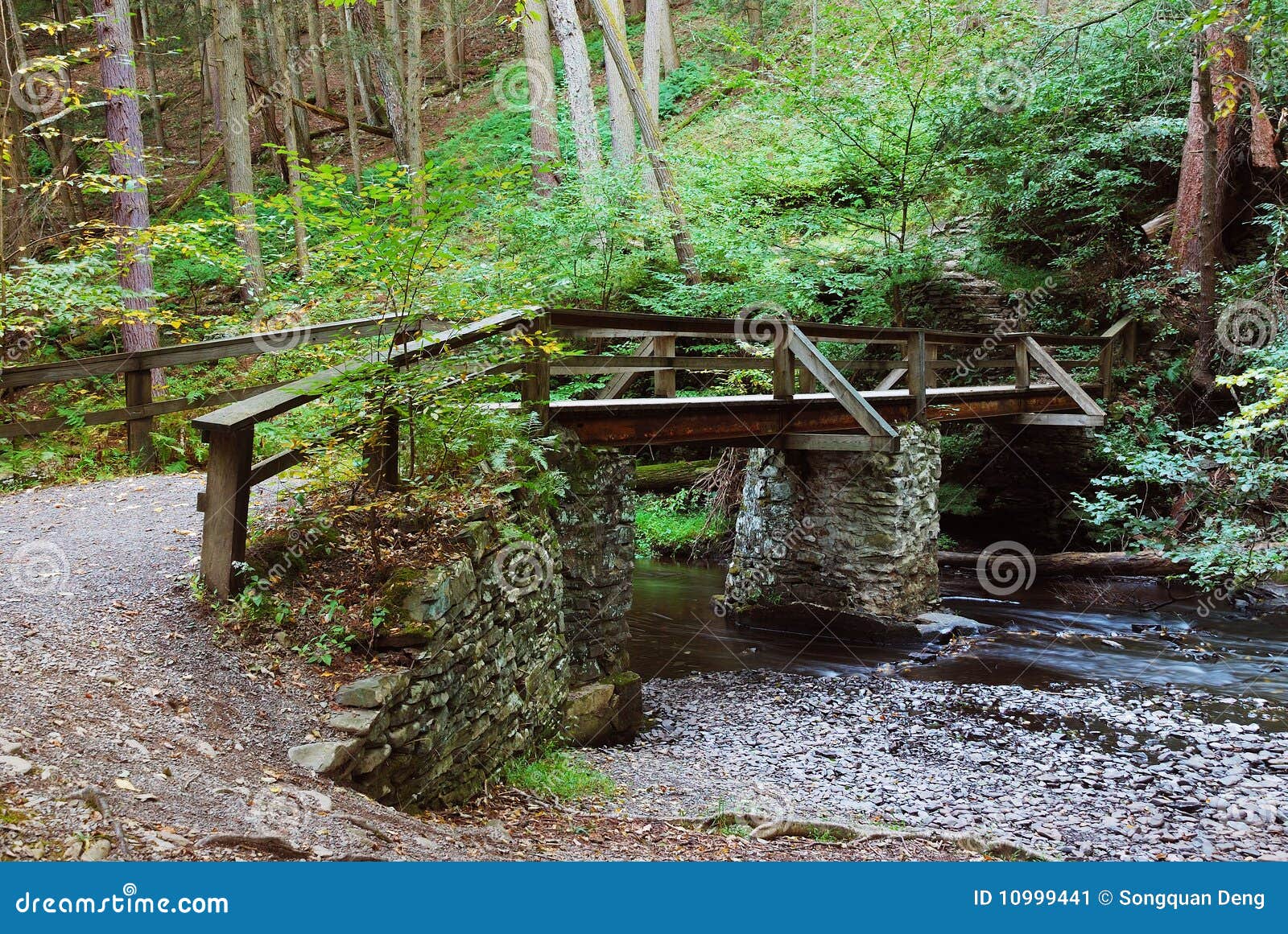 Wood bridge over creek stock image. Image of june, jungle - 10999441