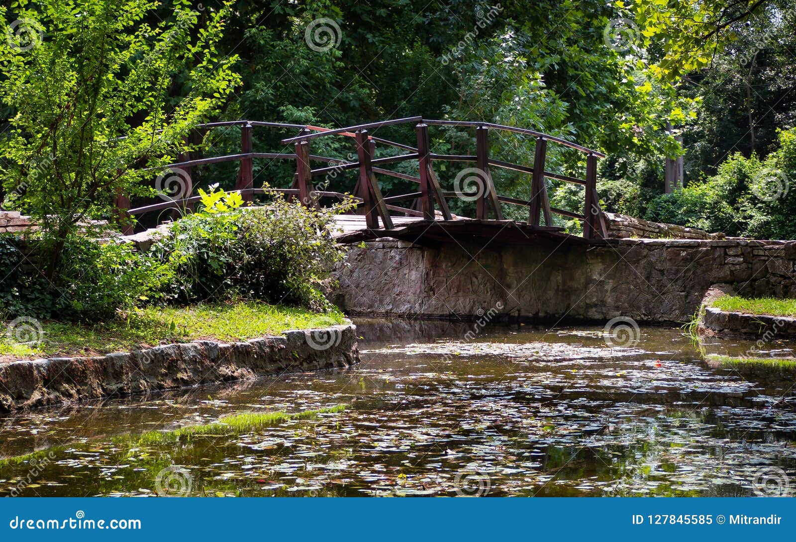 Wood Bridge Over the Lake in the Park Stock Image - Image of wooden ...