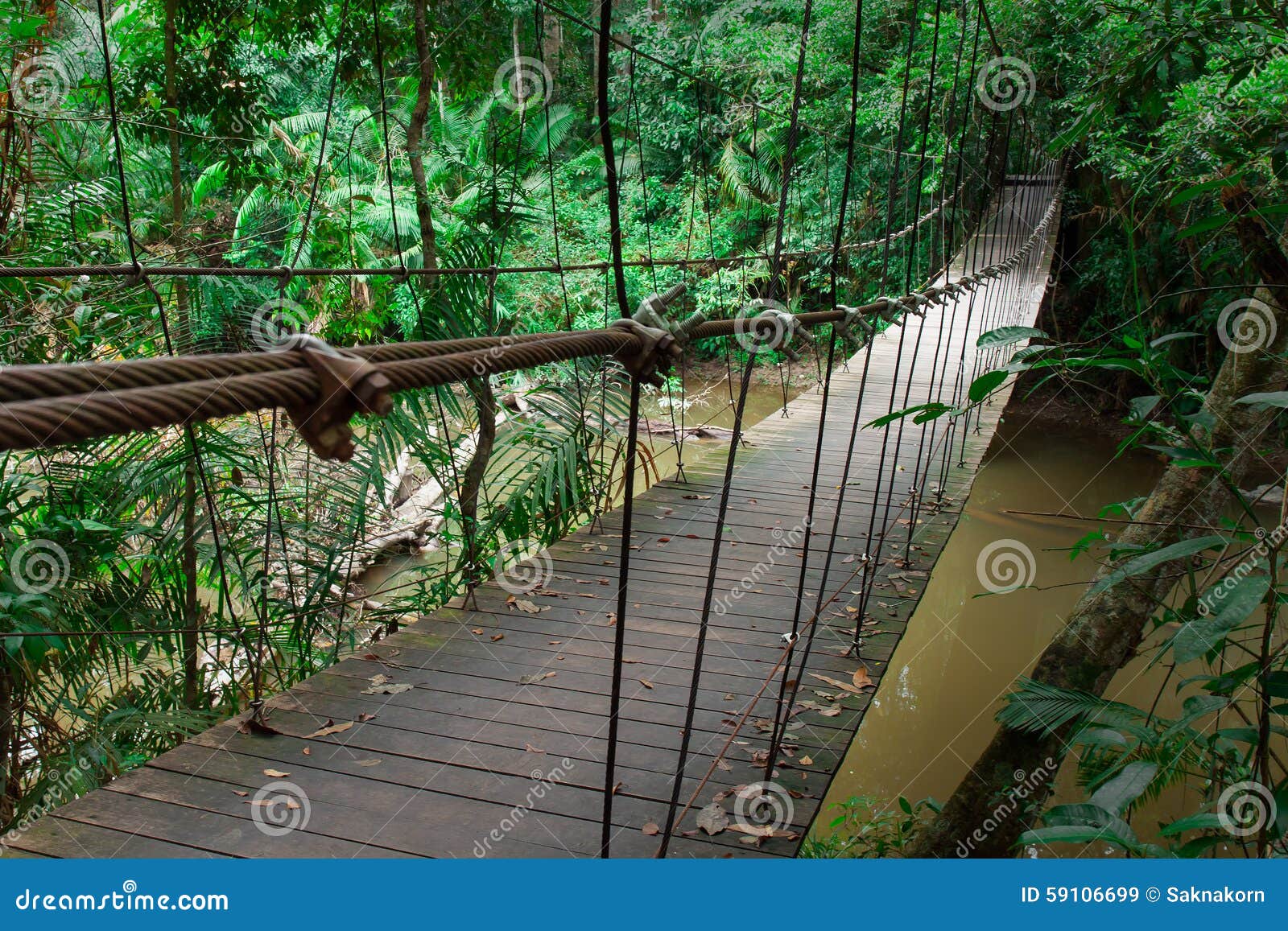 Wood bridge to jungle stock image. Image of foliage, high - 59106699