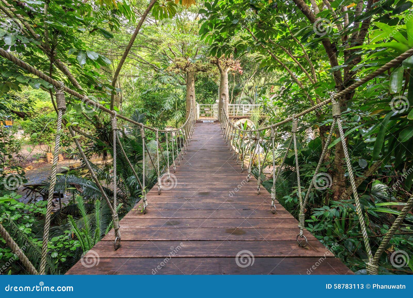 Wood Bridge for Walking in the Garden Stock Image - Image of tree, path ...
