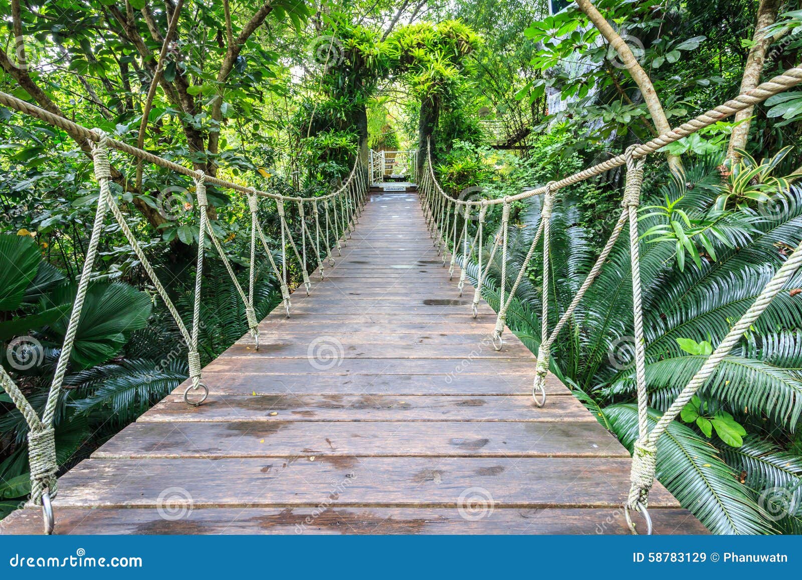 Wood Bridge for Walking in the Garden Stock Image - Image of rope ...
