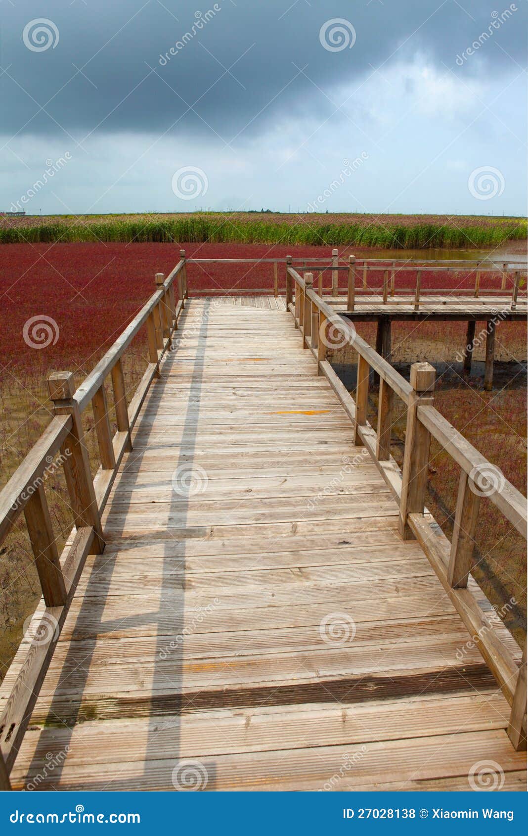 Wood bridge on Wetland stock photo. Image of color, wilderness - 27028138