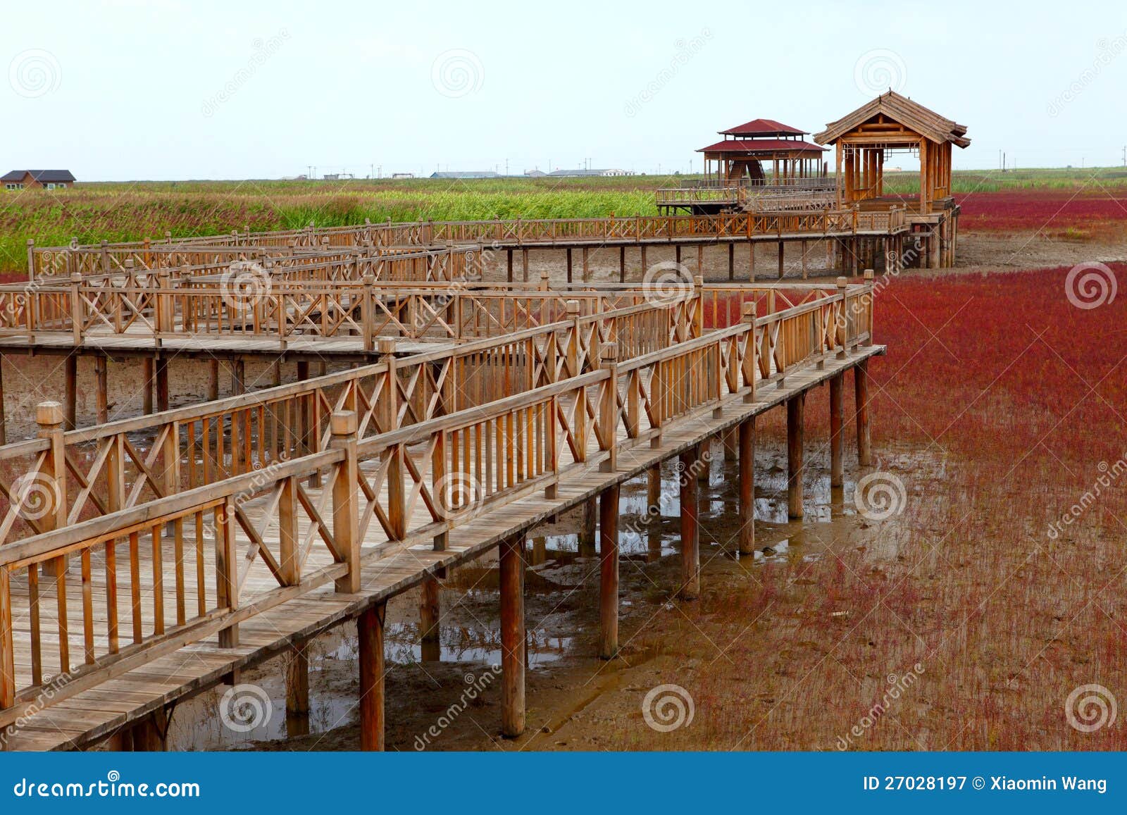 Wood bridge on Wetland stock image. Image of prairie - 27028197