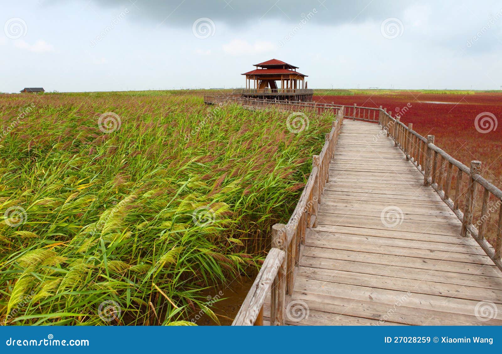 Wood bridge on Wetland stock image. Image of view, wetlands - 27028259