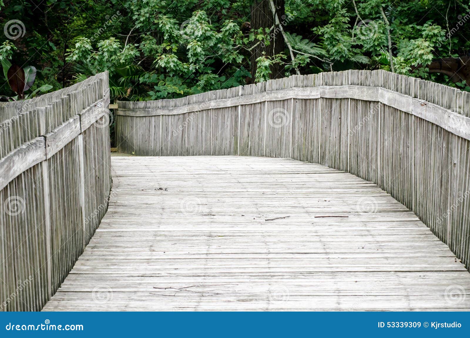 Winding Wood Bridge in the Forest Stock Image - Image of park, green ...