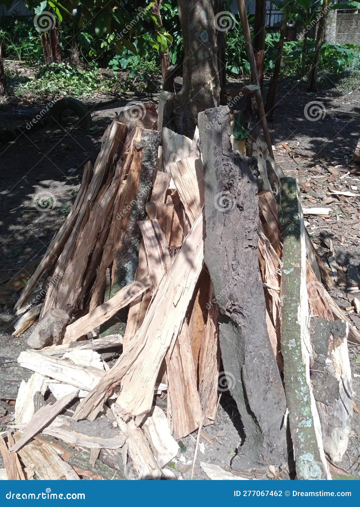 Wood burn cut with an axe stock photo. Image of wood - 277067462