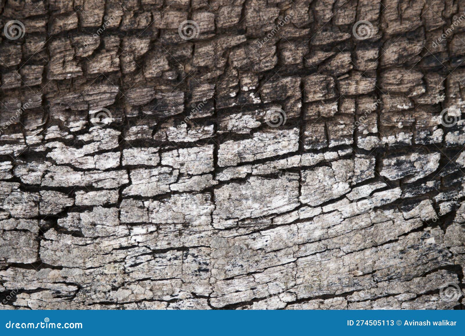 The Wood Burned Texture Pattern Design for Wallpaper Stock Image ...
