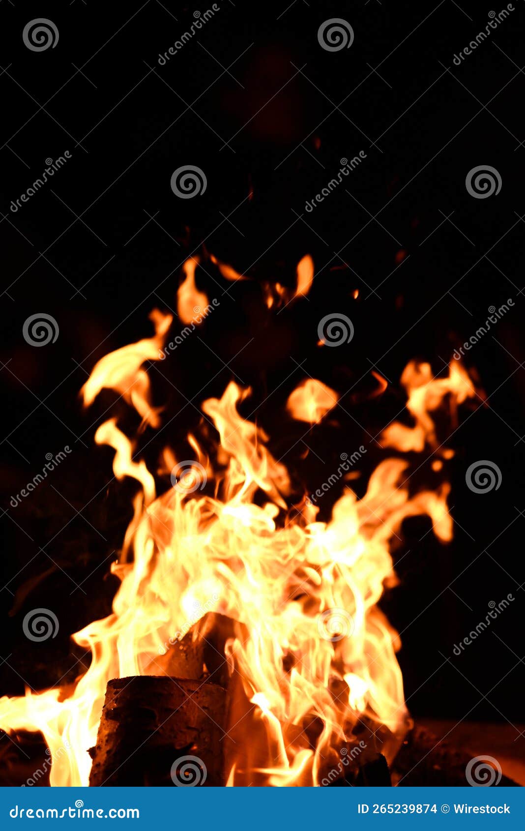 Wood burning in bonfire stock photo. Image of vertical - 265239874
