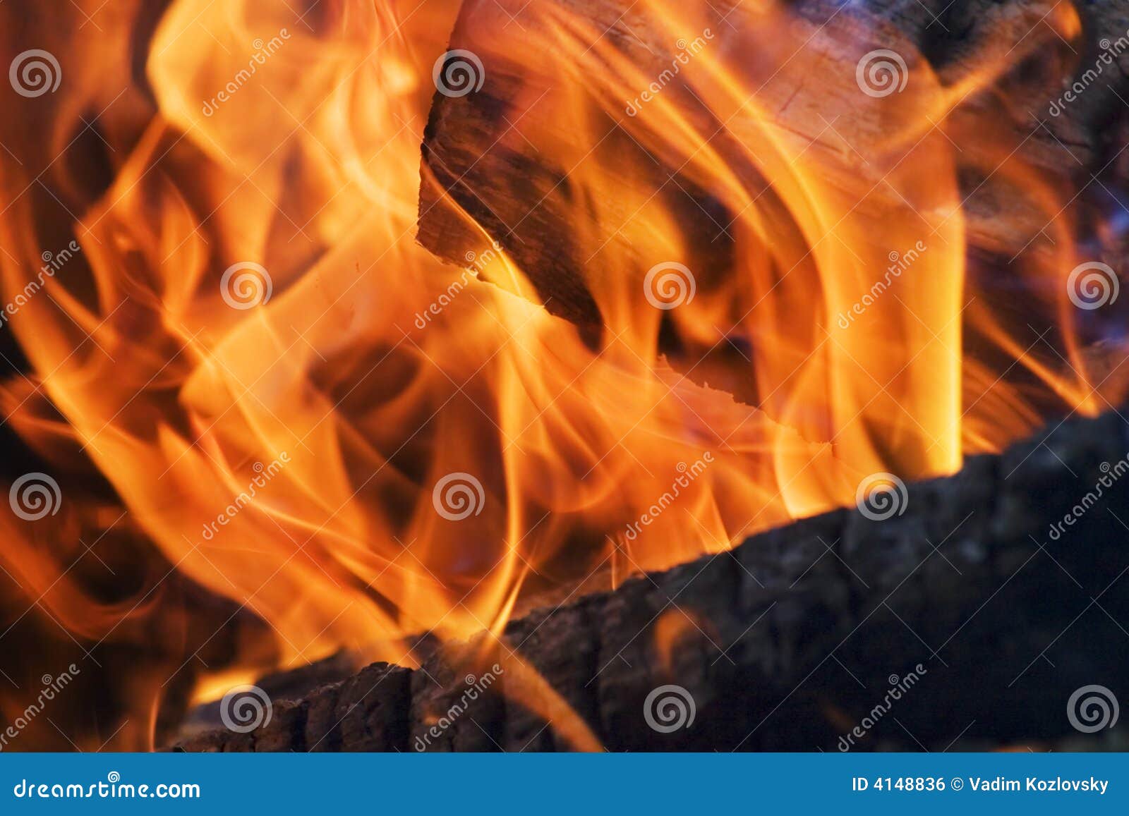 Wood burning in fire stock photo. Image of wood, combustion - 4148836