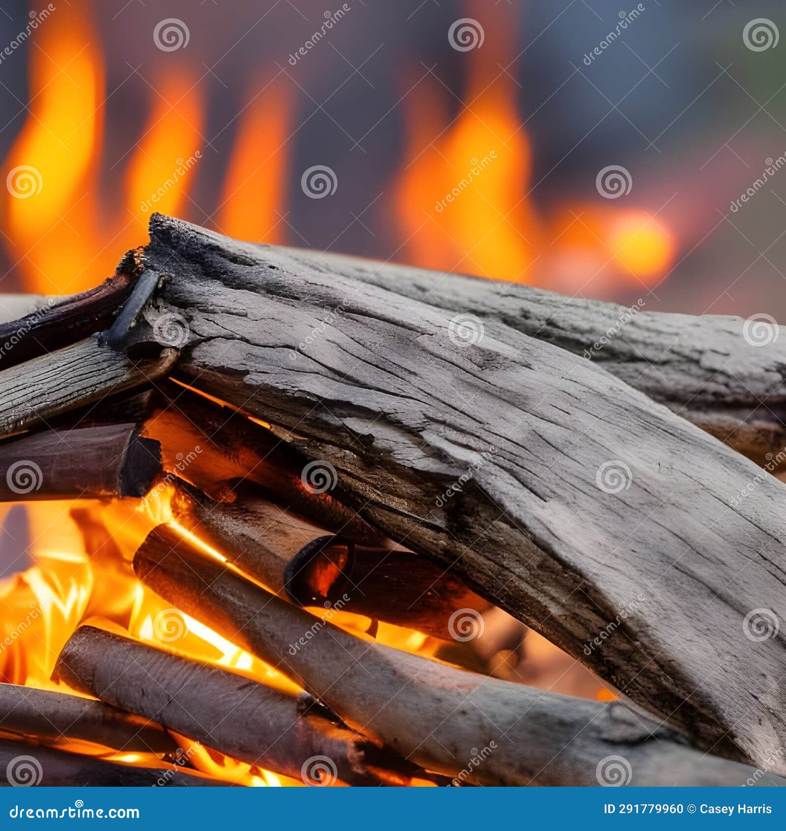 Wood burning on the fire stock illustration. Illustration of sunlight ...