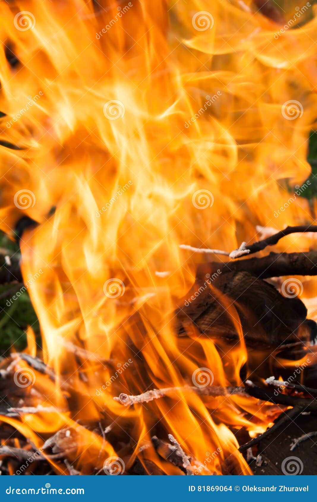 Wood burning on fire. stock photo. Image of bonfire, energy - 81869064