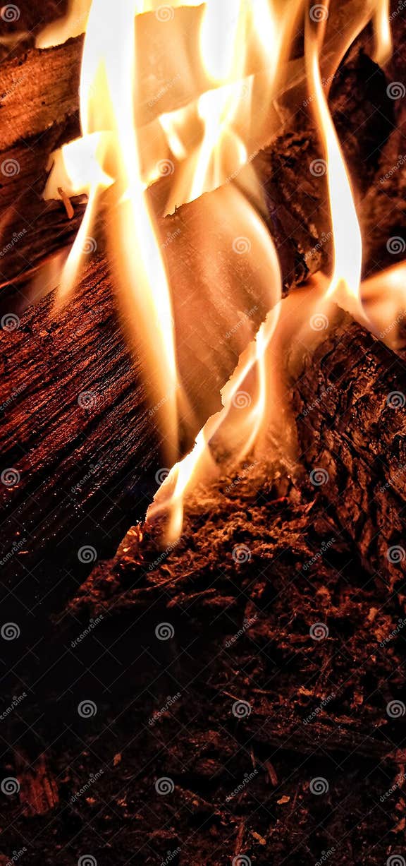 Wood Burning Fire when Heating Water Stock Photo - Image of fire ...