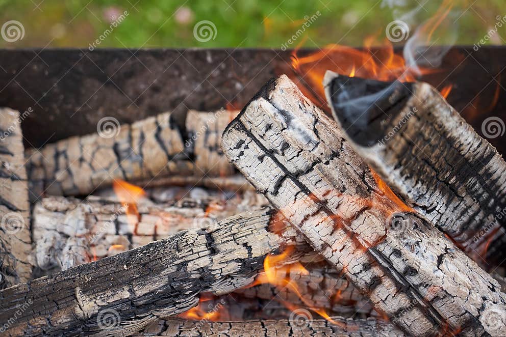 Wood Burning in a Grill in Nature. Stock Image - Image of beautiful ...