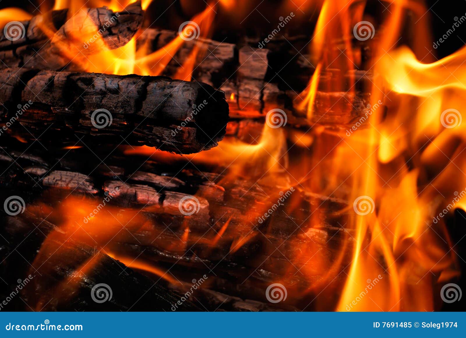 The wood burns on fire stock image. Image of bright, bonfire - 7691485