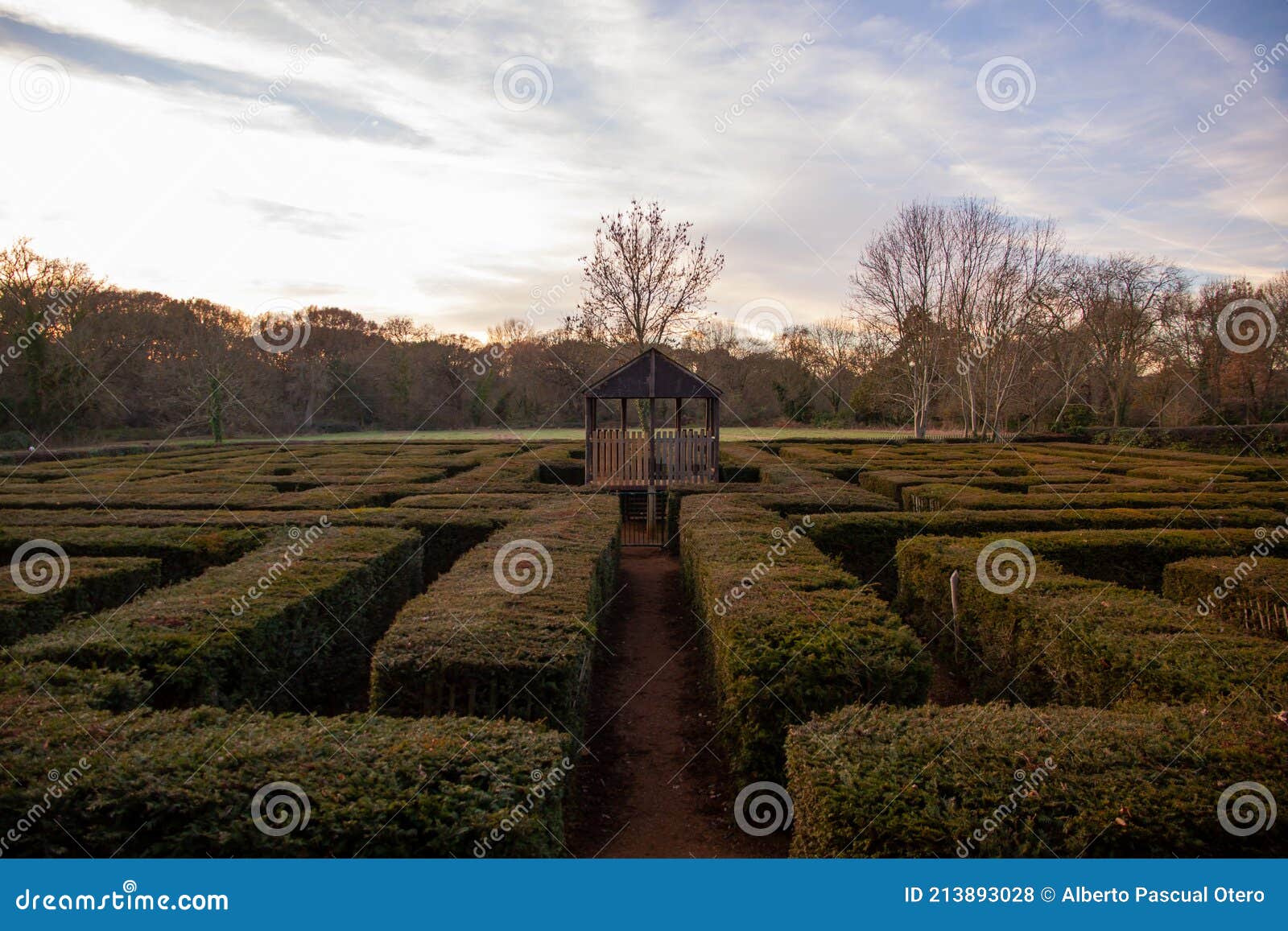 Wood cabin inside a maze stock photo. Image of sunrise - 213893028