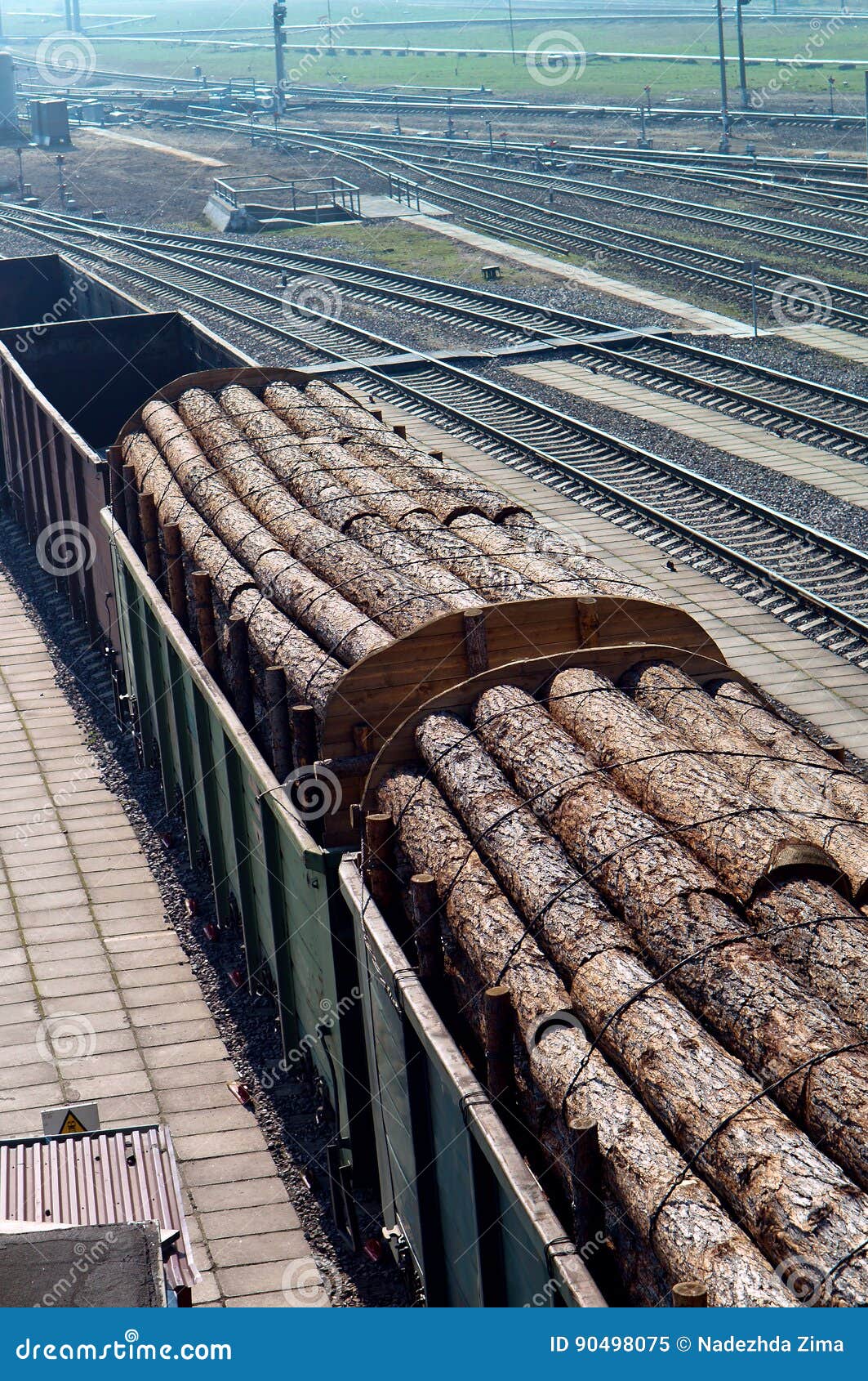 Wood, Cargo, Train, Logs, Wagon, Sorting, Logging, Lumber Stock Image ...