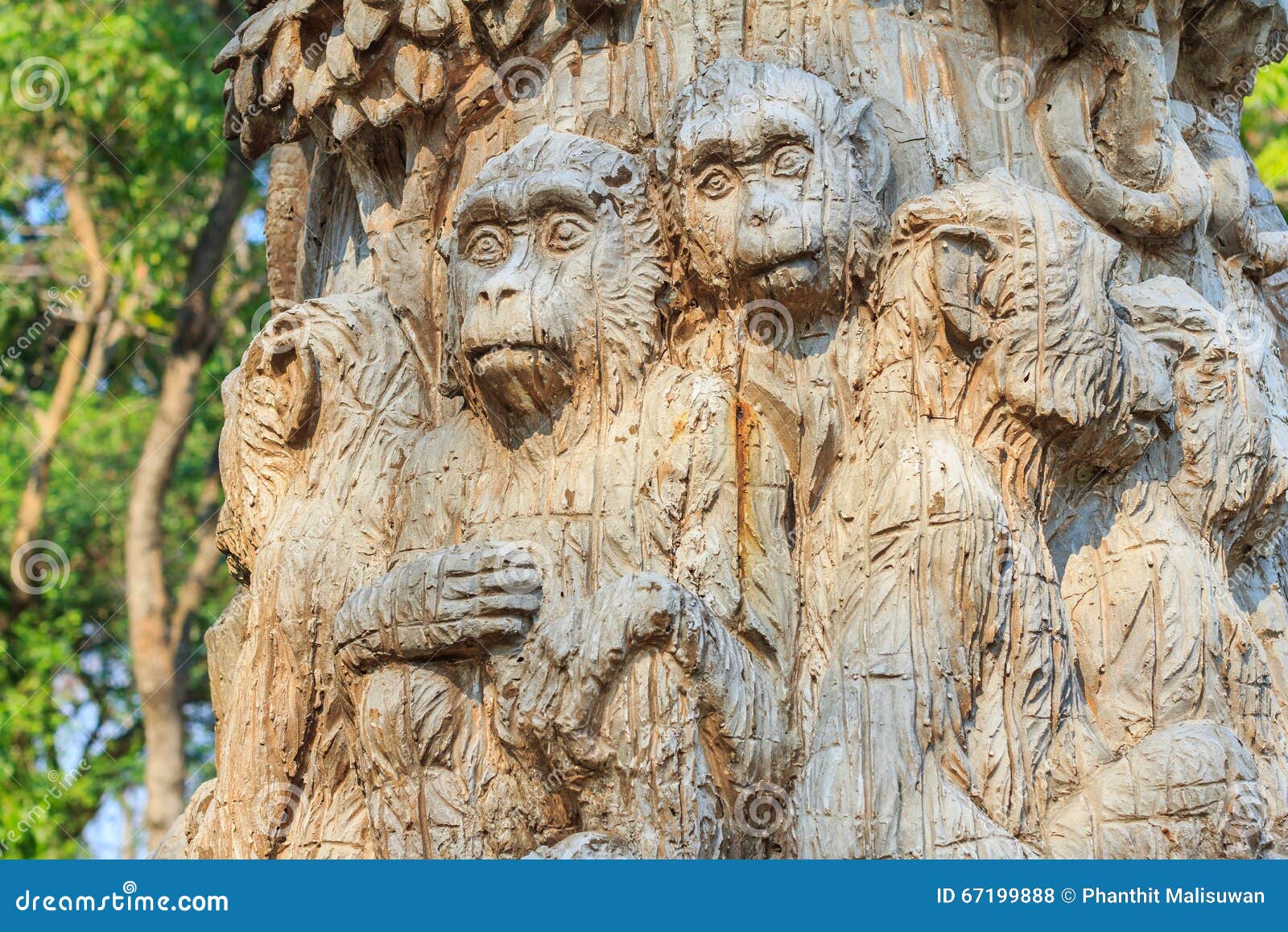 Wood Carving of Monkey at Zoo Stock Photo - Image of texture, carving ...
