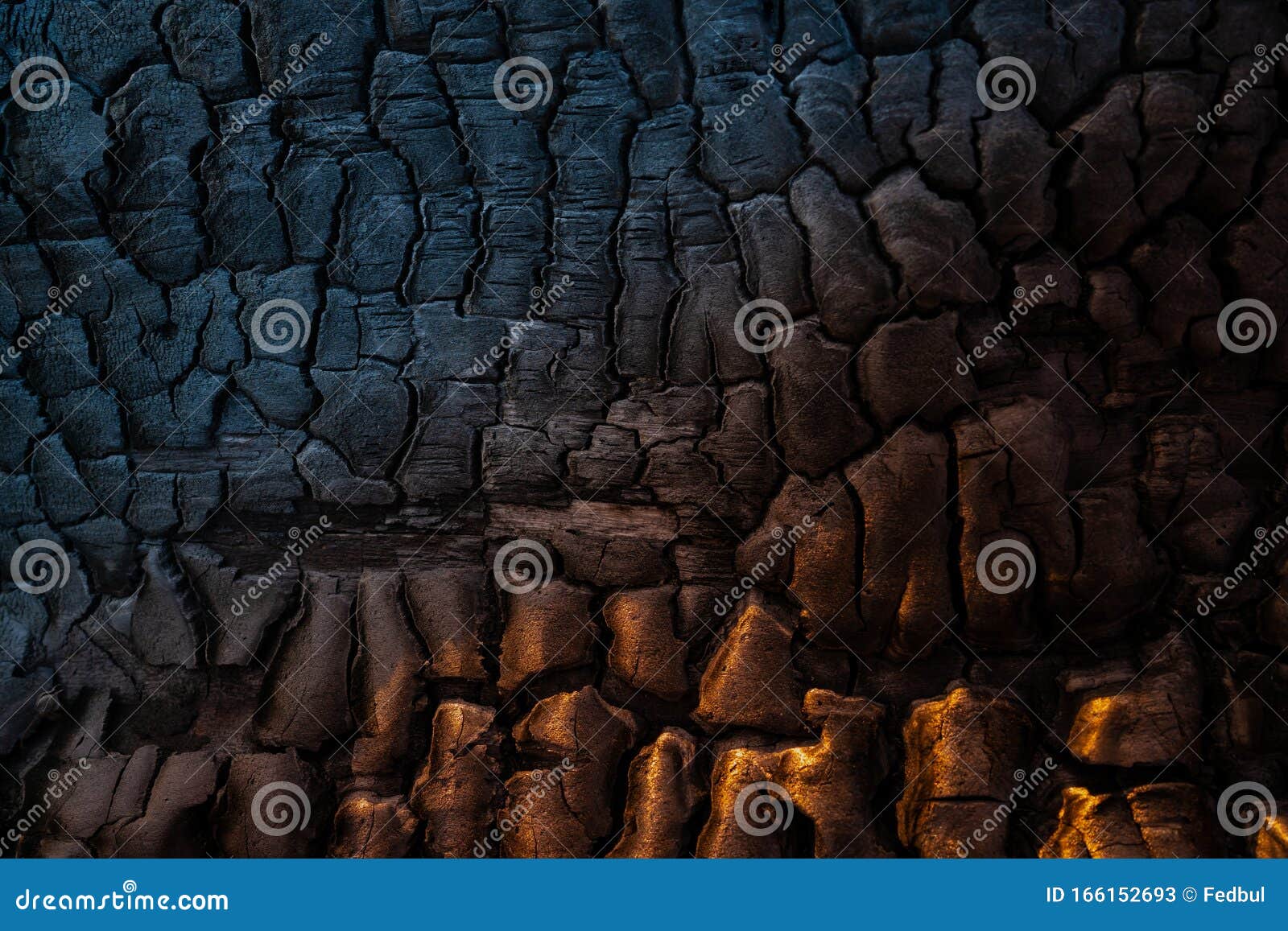 Wood Charcoal Texture. Burnt Tree. Black Coal Background Royalty-Free ...