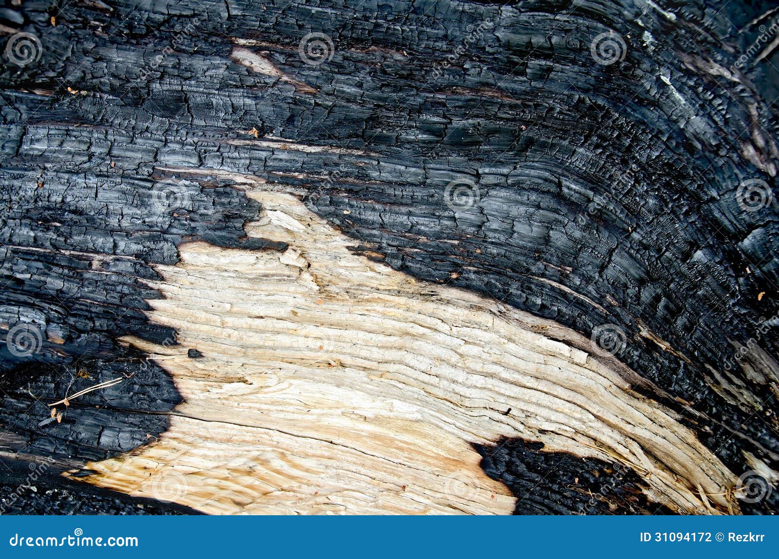 Wood charred stock photo. Image of material, damaged - 31094172