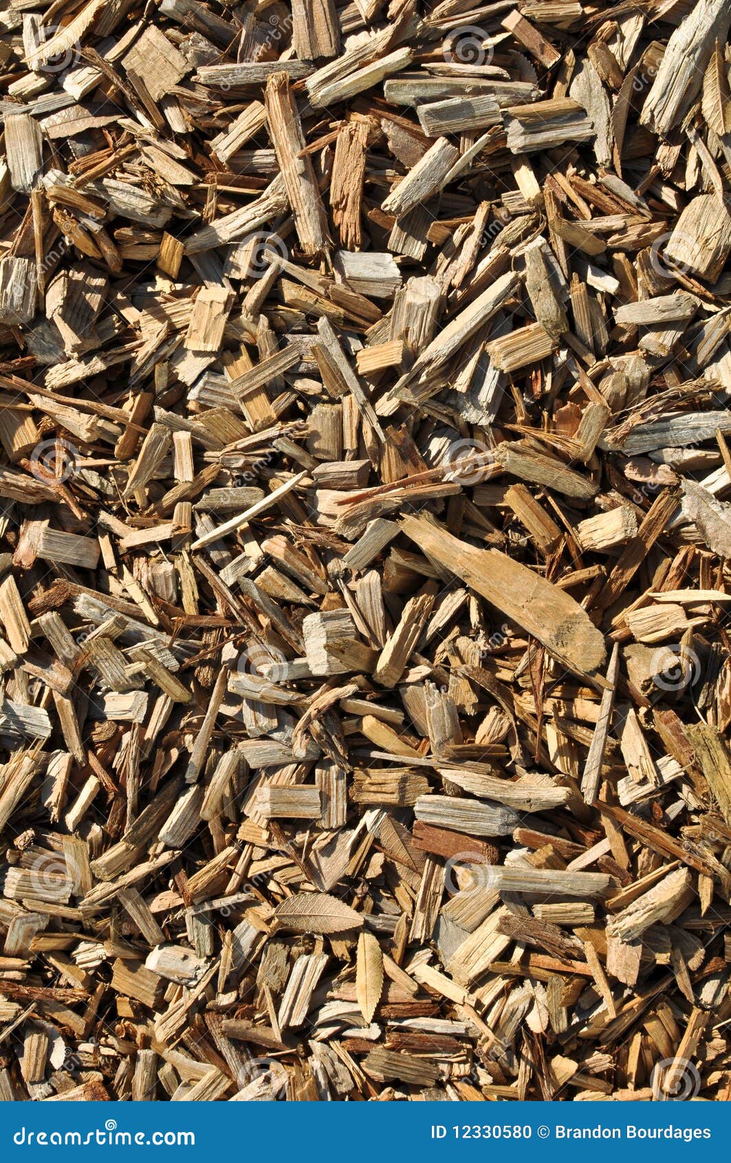 Wood Chip Background stock photo. Image of material, woodchip - 12330580