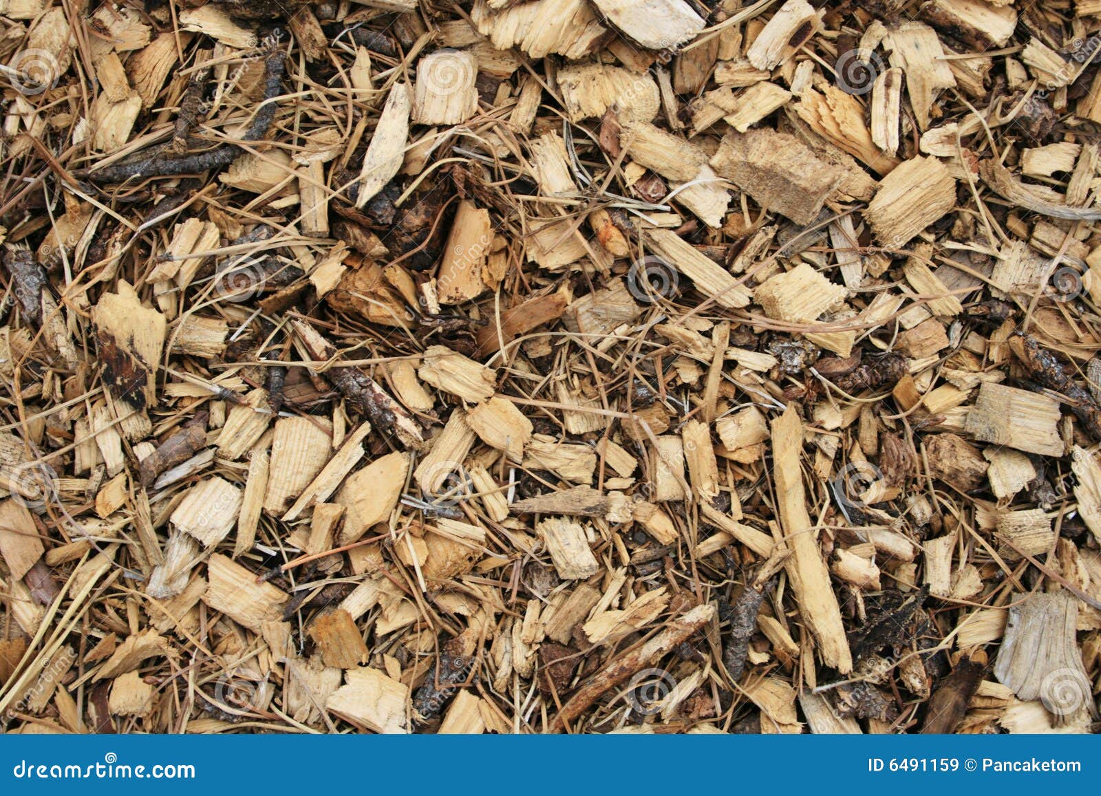 Wood chip background stock image. Image of wood, pine - 6491159