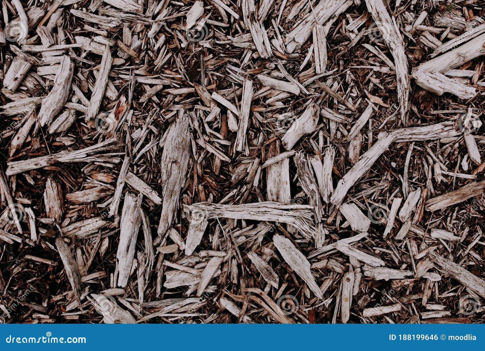 Wood Chip Pieces on the Ground in Different Shapes and Sizes. Stock ...