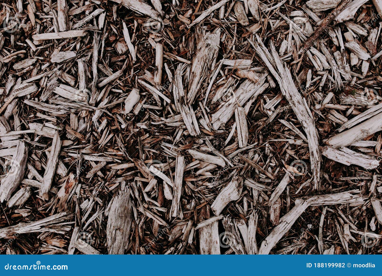 Wood Chip Pieces on the Ground in Different Shapes and Sizes. Stock ...