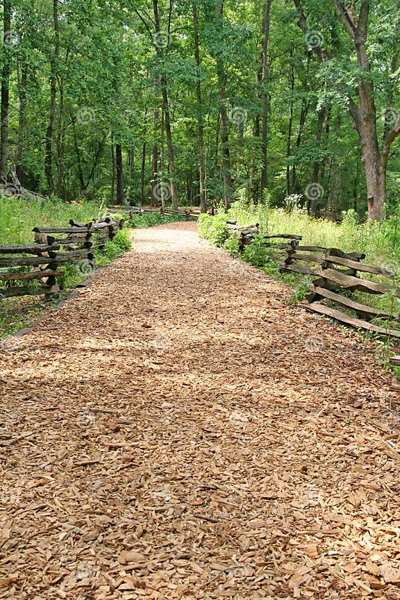 Wood Chip Trail stock image. Image of forest, leaves, pine - 2738081